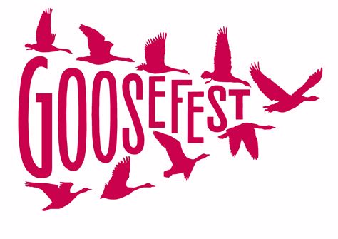 Goosefest Scottish Wildlife Trust