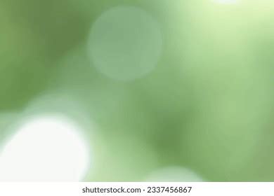 Blur Green Bokeh Nature Texture Background Stock Photo 2337456867 | Shutterstock