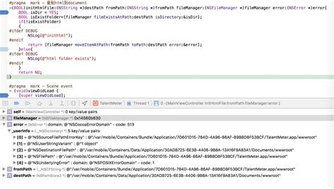 Ios Nscocoaerrordomain Code513 When Write The Documents Folder