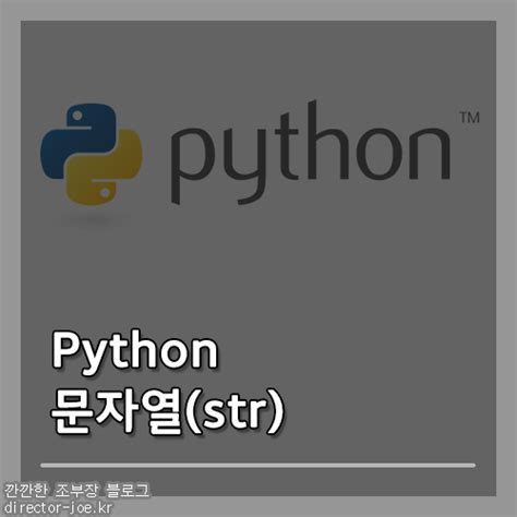 [python] 문자열 str