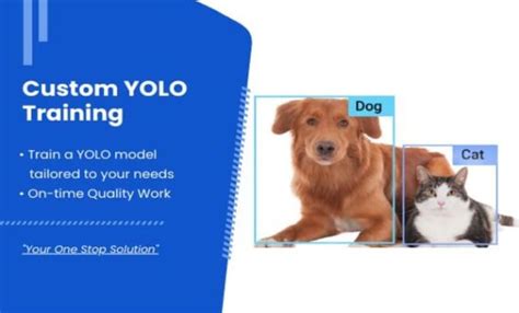 Train Yolo Model For Object Detection And Recognition By Masood5 Fiverr