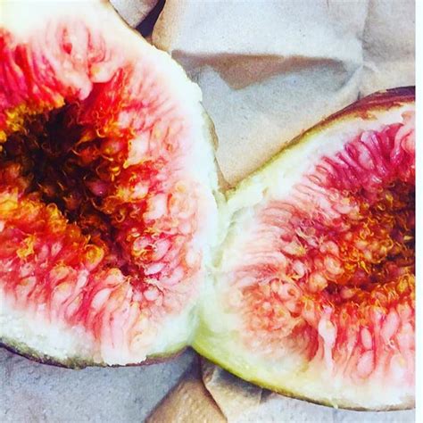 What Happens In Sexological Bodywork