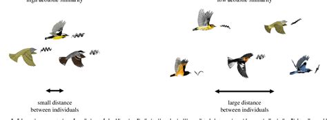 Acoustic Similarity Of Flight Calls Corresponds With The Composition