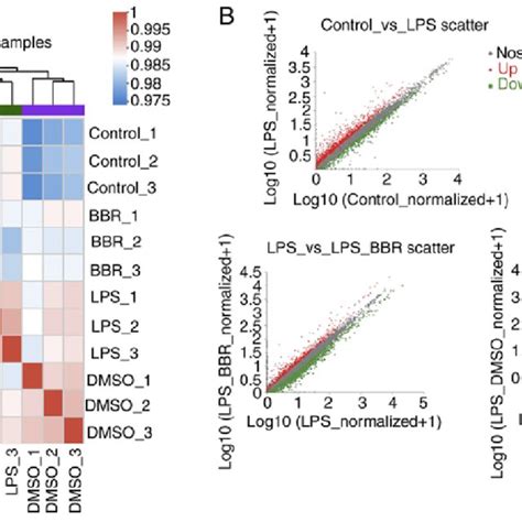 Four Groups Transcriptome Data Analysis A Correlation Analysis Was