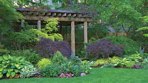Full Shade Garden Plans Easy To Grow Annual Shade Flowers Hgtv