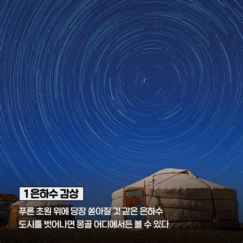 먹고 살기 위한 넓고 얕은 지식