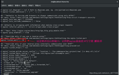 虚拟机 gitlab安装图文详情（史上最细！！史上最全！！） 空白虚拟机如何安装gitlab csdn博客