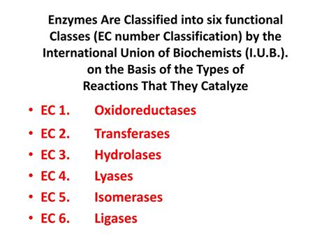 Ppt Enzymes Structure Classification And Function Powerpoint