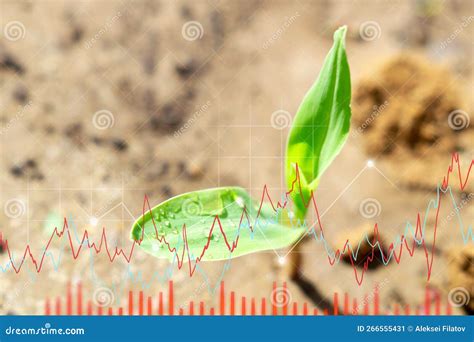 Agriculture Sowing Of A Growing Corn Plant Business Development Growth
