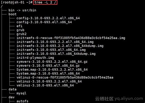 Linux基础知识Linux常用命令大全 阿里云开发者社区