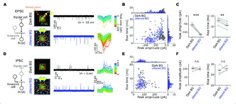 Synaptic Inputs To Fast Transient Gcs A Excitatory Postsynaptic