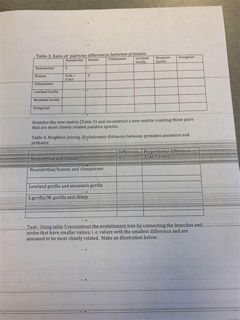 In This Activity We Will Construct A Phylogenetic Chegg Com