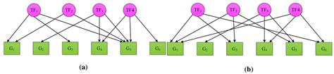 An Overview Of Nca Based Algorithms For Transcriptional Regulatory