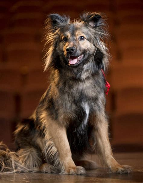Staff And Board Yukon Arts Centre