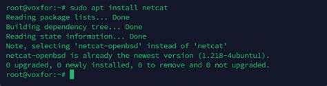 How To Use Netcat Nc Command In Linux With Examples
