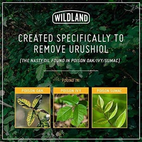Wildland Poison Oak And Poison Ivy Prevention Wipes 12 Pack Urushiol Removal Formula Prevent