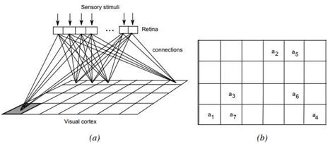 3a Is A Graphical Representation Of What A Highly Simplified Physical
