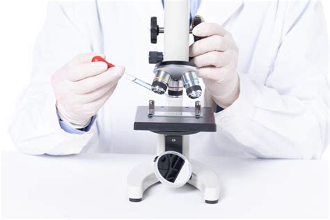 Understanding Mycotoxin Testing In Food