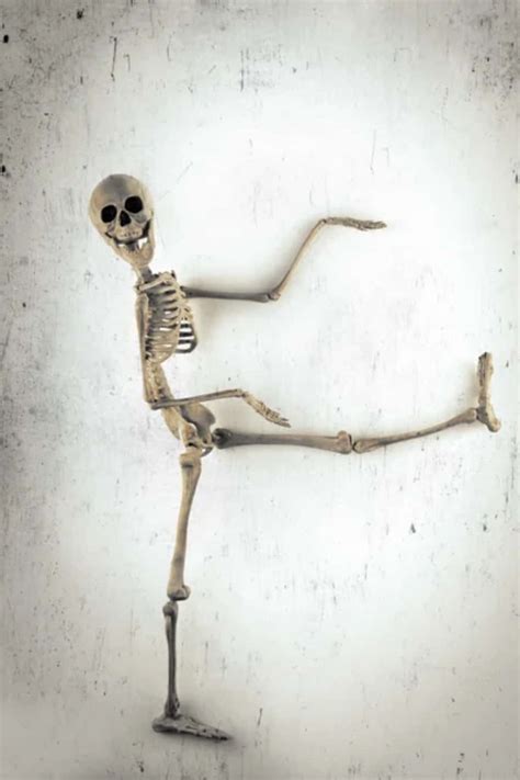 600 Funny Skeleton Pictures