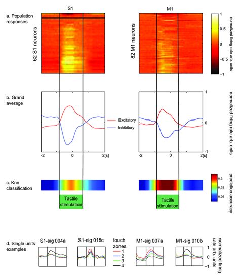 2 A Peristimulus Time Histograms Psths For S1 Neurons Left And