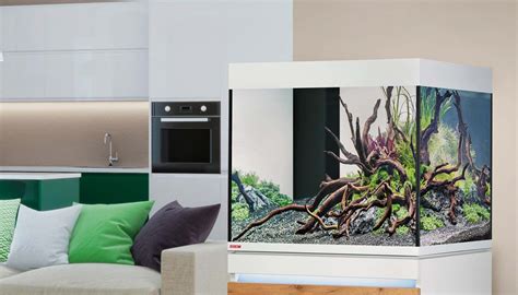 The Eheim Incpiria Aquarium Range Elevate Your Aquascaping Game