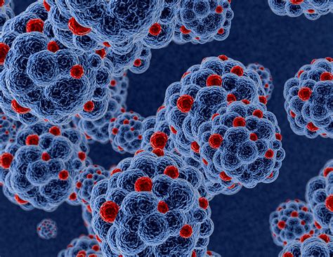 Hiv Virus Under Electron Microscope