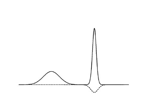 The Particle Density Corresponding To Our Initial State One Electron Download Scientific