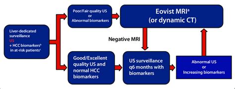 figure a proposed liver ultrasound algorithm for surveillance of