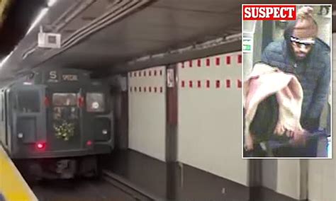 Ruth Bashinsky All Their Latest Coverage Daily Mail Online