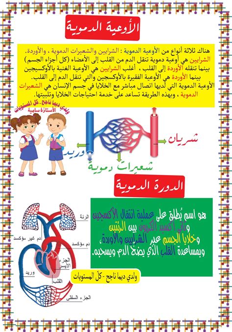 الدورة الدموية الصغرى الكبرى صور بالشرح مدرستي الخاصّة