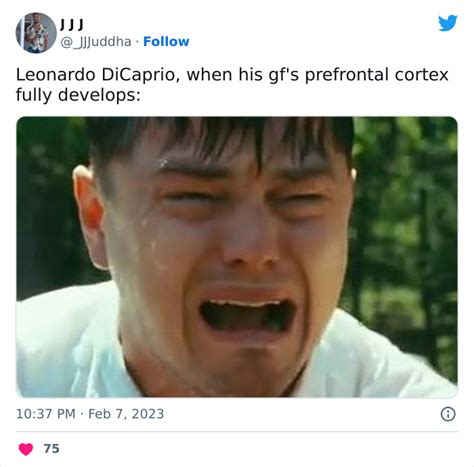 Leonardo Dicaprio Is Allegedly Dating A Y O Model And Netizens Are Roasting Him With Memes