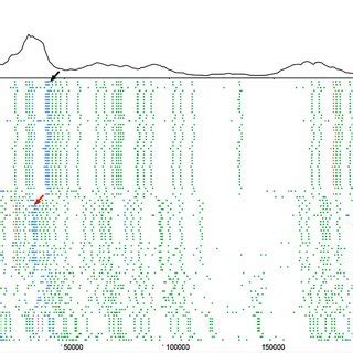 The Number Position And Distribution Of Repeat Sequences In The Download Scientific Diagram