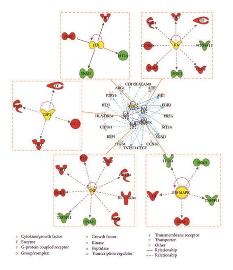 Upstream Regulators Relevant To The Shared To Degs A The Percentage