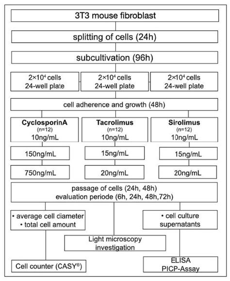 Flow Chart Of The Experimental Design Download Scientific Diagram