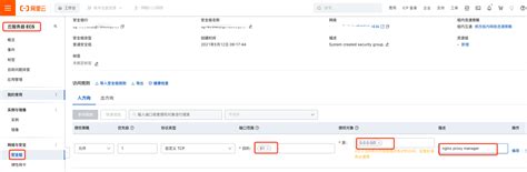 Nginx Proxy Manager的配置和使用 自由码农