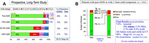 Approach To The Subsolid Nodule Thoracic Key