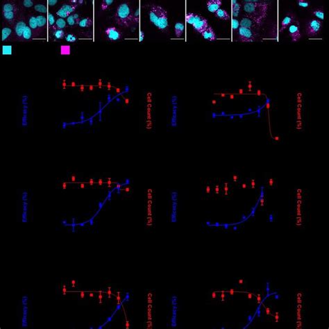 Cpe Assay In Vero E6 And Average Lc3b Based Autophagy Assay Parameters