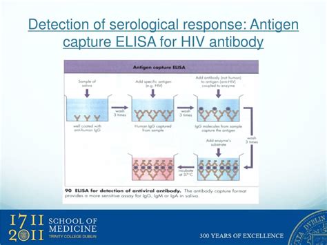 Ppt Virology Powerpoint Presentation Free Download Id3336869