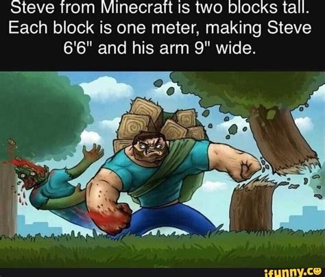 Steve From Minecraft Is Two Blocks Tall Each Block Is One Meter Making Steve 66 And His Arm