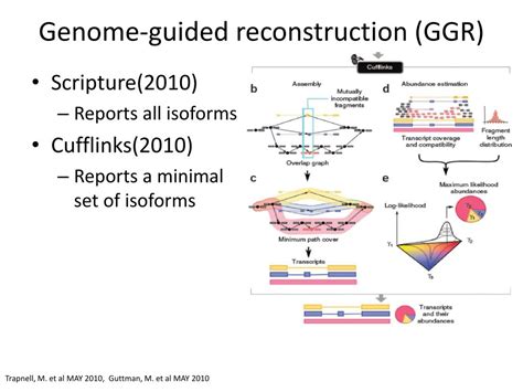 Ppt Robust Rna Seq Software For Transcript Discovery Powerpoint Presentation Id 2570771