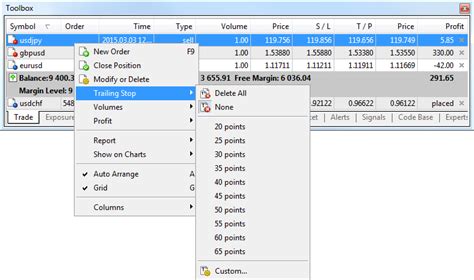 Basic Principles Trading Operations Metatrader 5 Help