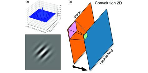 A An Example Of A Kernel Equivalent To A Gabor Filter B The Download Scientific Diagram