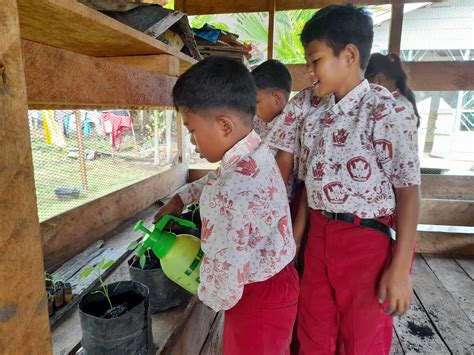 Dasamas LAZ Al Azhar Kenalkan Dunia Pertanian Kepada Anak-anak di Desa Sokop