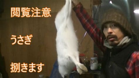 閲覧注意 嫁が轢かれたウサギを持って帰ってきたので・・・ Youtube