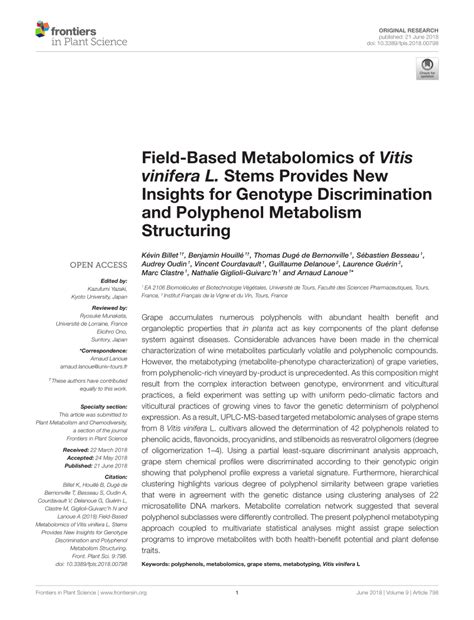 Pdf Field Based Metabolomics Of Vitis Vinifera L Stems Provides New