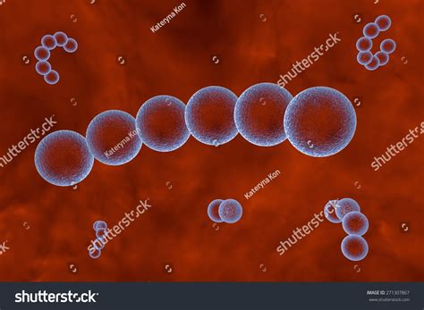 Three Dimensional Drawing Streptococci In Blood Streptococcus Pyogenes Three Dimensional Drawing Streptococci In Blood Streptococcus Pyogenes