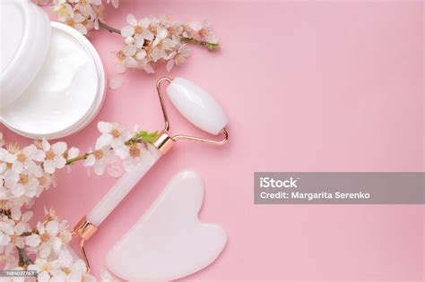 보디 케어 및 스킨 케어 크림 Gua Sha Stone 피는 체리가있는 분홍색 배경에 얼굴 마사지 용 롤러가있는 용기 화장품 얼굴 피부 관리 및 스파 자연 치료 개념 개념에