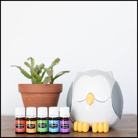 Little Oilers Starter Bundle — Enlightened Oilers