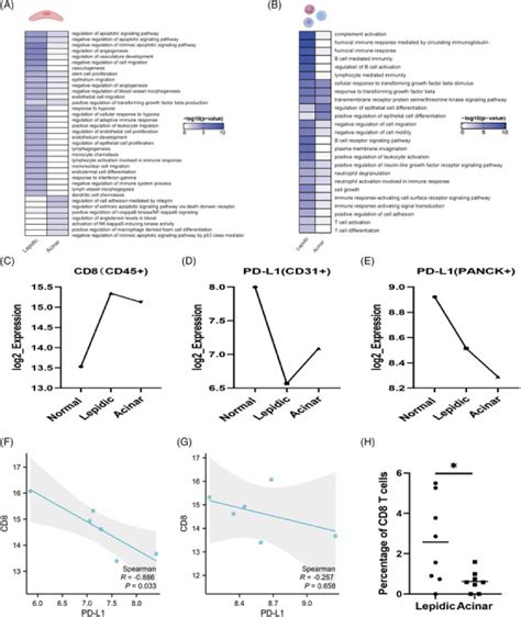 Spatial Transcriptomics Reveals Heterogeneity Of Histological Subtypes Between Lepidic And