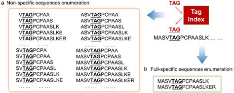 Different Sequence Retrieval Approach Download Scientific Diagram
